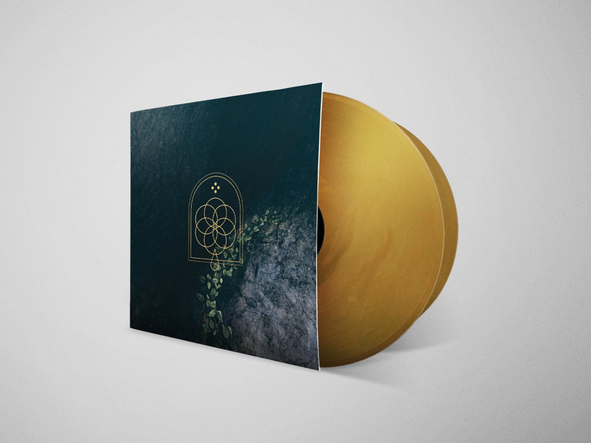 Voice Of The Unheard records